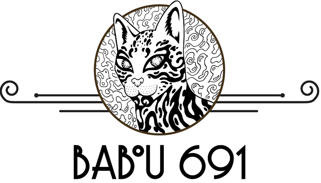 Babou 691 Q & A | Zé Burns | Blog